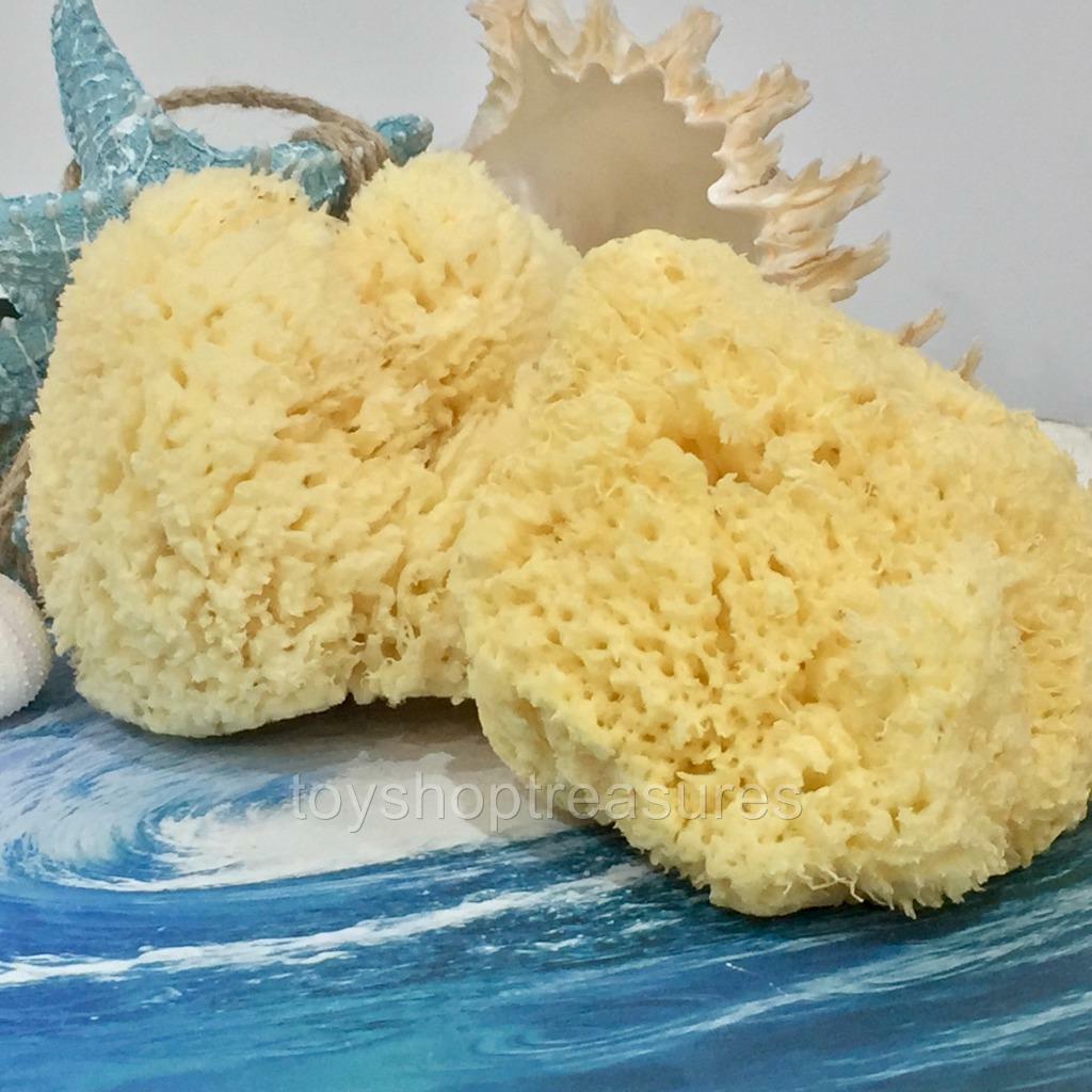Natural Mediterranean Sea Sponge from Greece - Bath Shower Make up ...