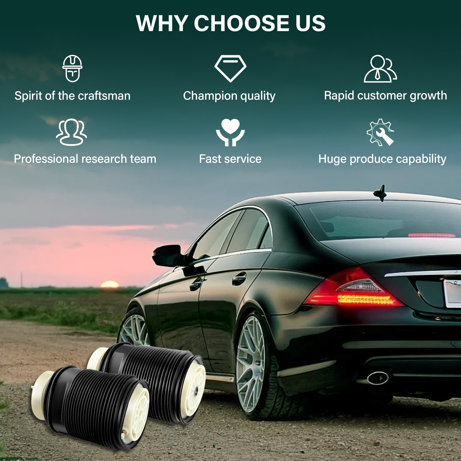 Rear Pair Air Suspension Springs For Mercedes W212 E350 E550 E63 CLS550 ...