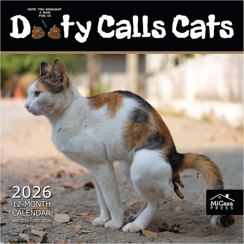 Funny Cat Calendar 2026 Wall Calendar 12 Thick Paper Holiday Gift | eBay