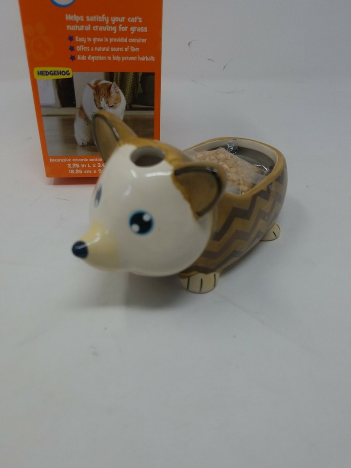 Toys R Us Pets Cat grass pet hedgehog. | eBay