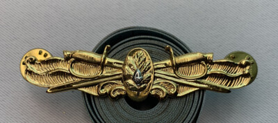 military badge Navy surface warfare medical corpse insignia Pin | eBay