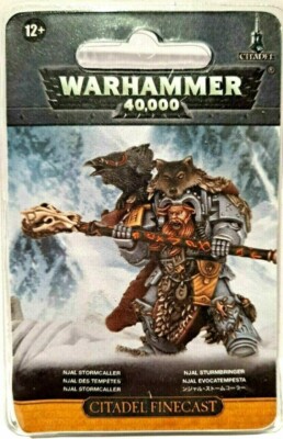 Warhammer 40k Space Wolves Njal Stormcaller in Terminator Armour ...