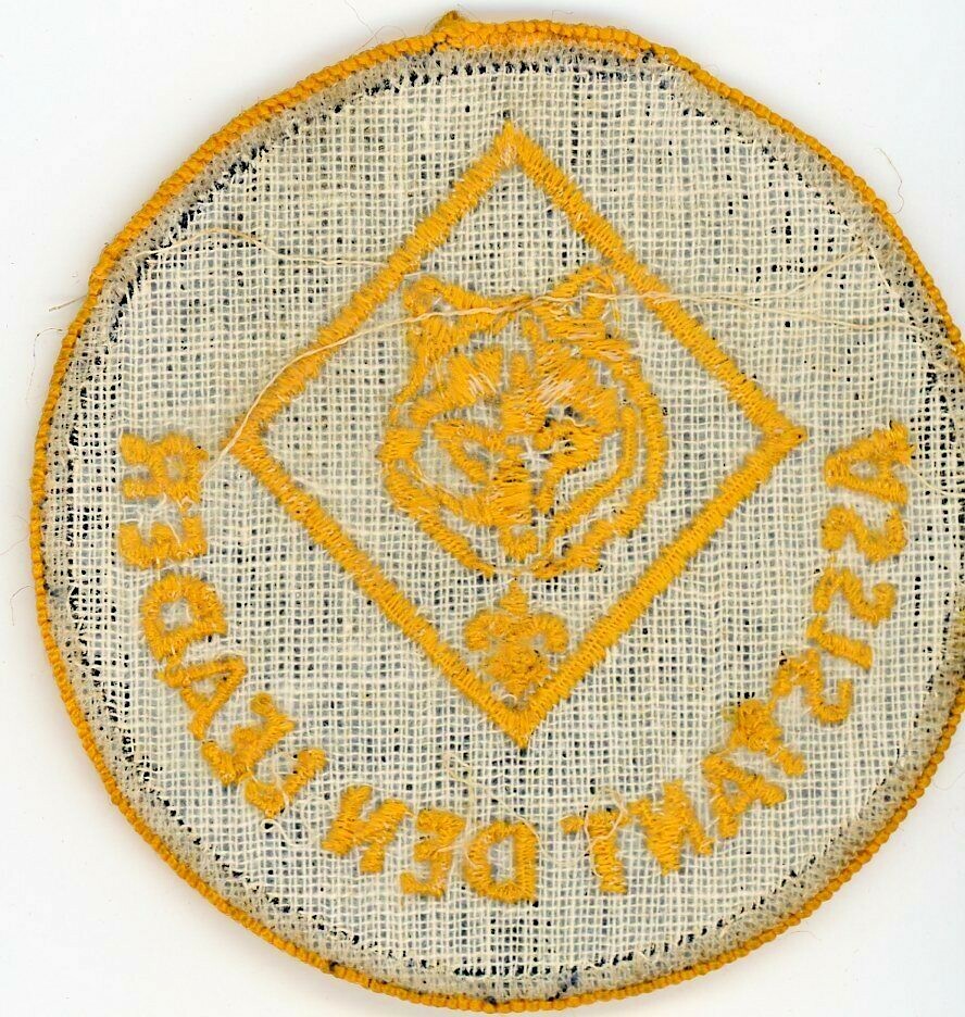 Cub Scout Patch - Assistant Den Leader X8 | eBay