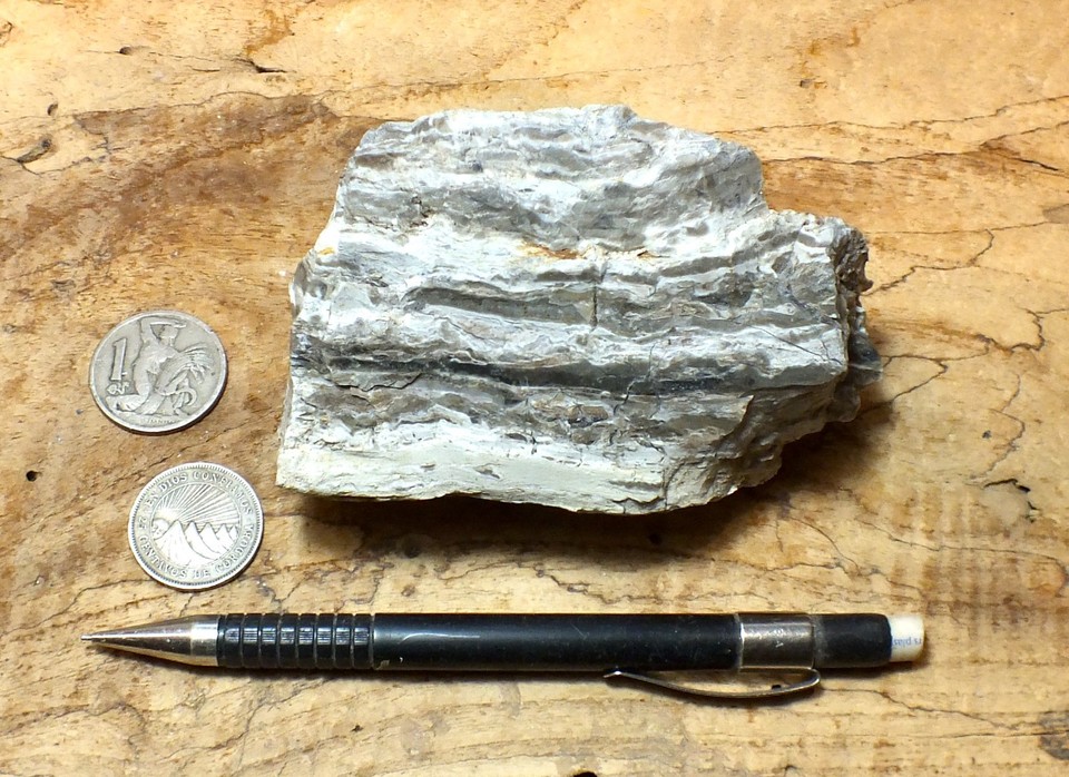 chert - banded chert from the Monterey Formation, CA - hand/display ...