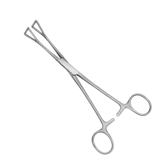 Collin-Duval Intestinal Forceps, 8", Straight, 25mm Wide Jaws, Ring ...
