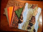 Northern Journey (Bison) Quilt Kit by Adrienna Yorinks - ~11 yards ...