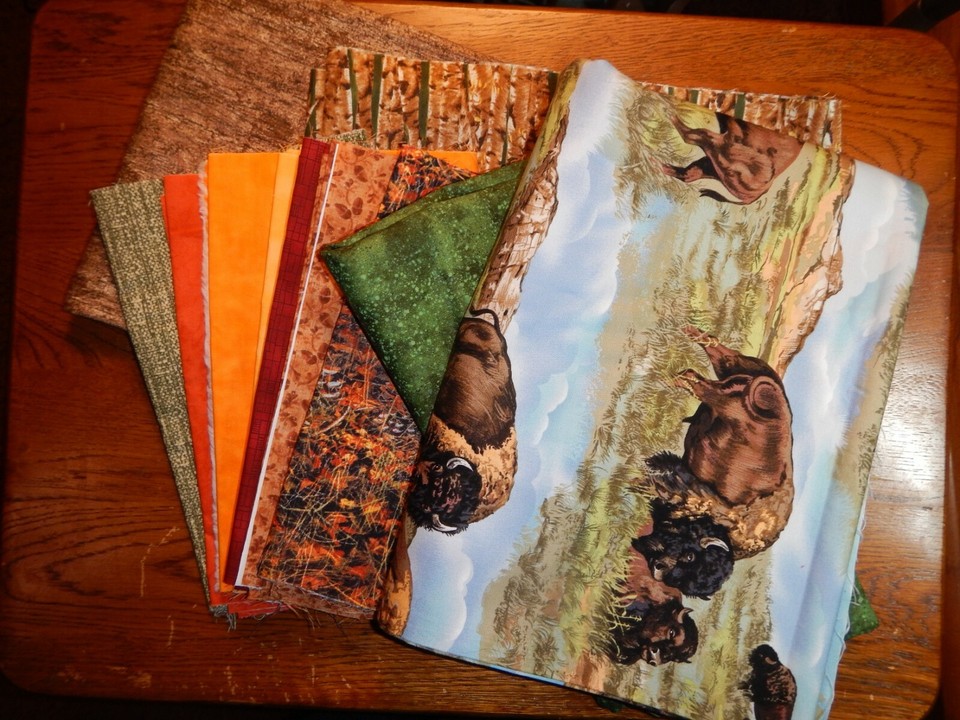 Northern Journey (Bison) Quilt Kit by Adrienna Yorinks - ~11 yards ...