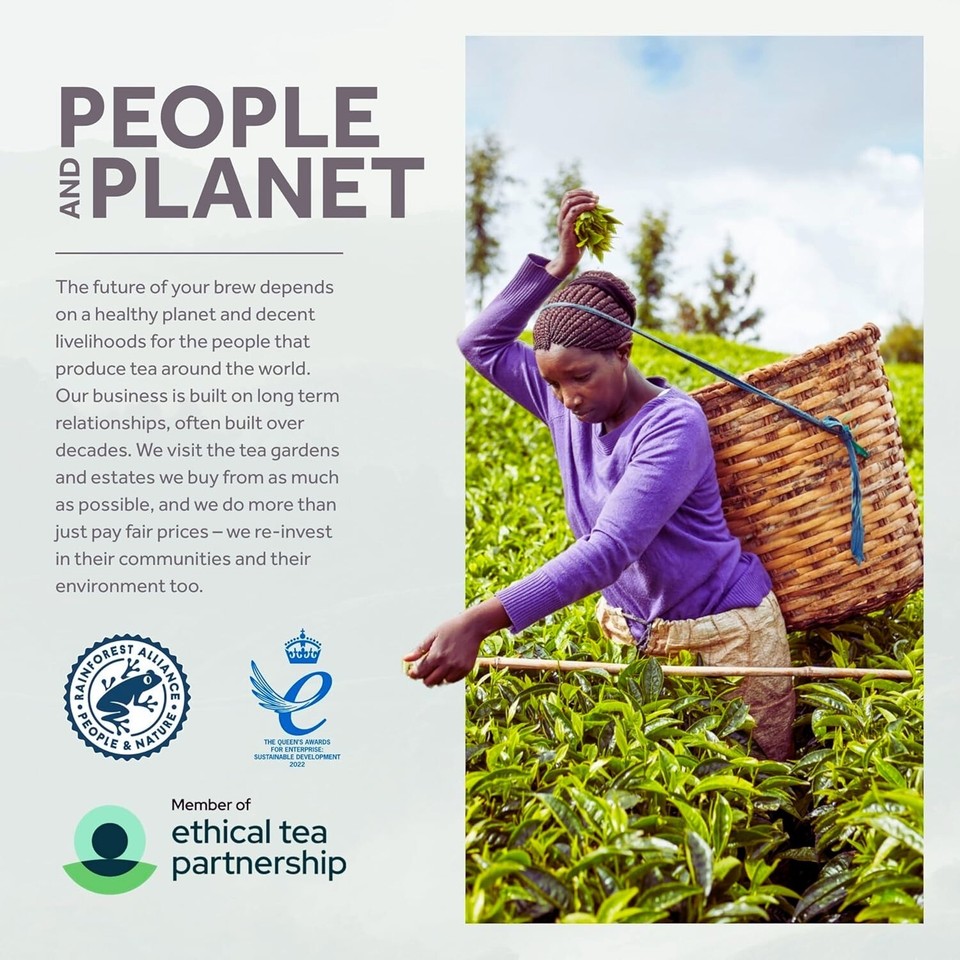 Yorkshire Tea, Total 1040 Tea Bags, (Pack of 3.25 kg) new uk fast ...