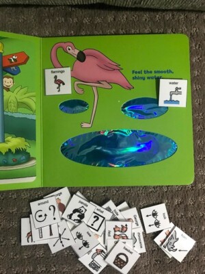 Special Needs / Autism Adapted Interactive Book - Curious George at the ...