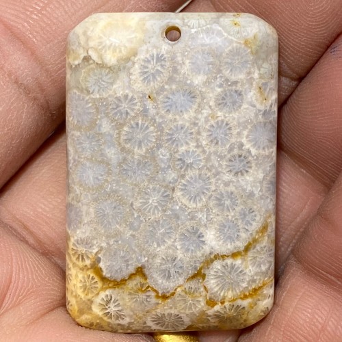 17g Amazing Corallite Coral Flowers Jasper Natural Crystal Pendant Gift ...