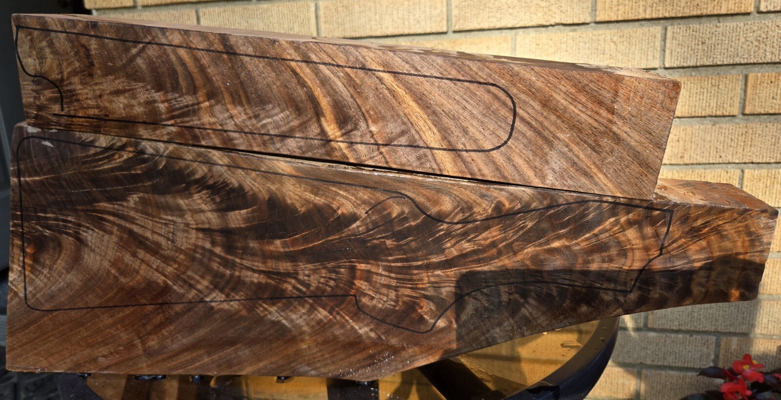 Feather Crotch Fiddleback Black Walnut Blank Shotgun or Rifle Blank. | eBay