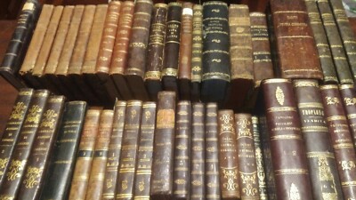 Collezione 41 Antichi Libri Italiani Dorso Pelle Illustrati | eBay