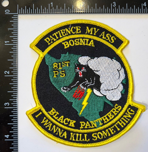 USAF 81st Fighter Squadron Black Panthers Bosnia Patience My Ass Kill ...
