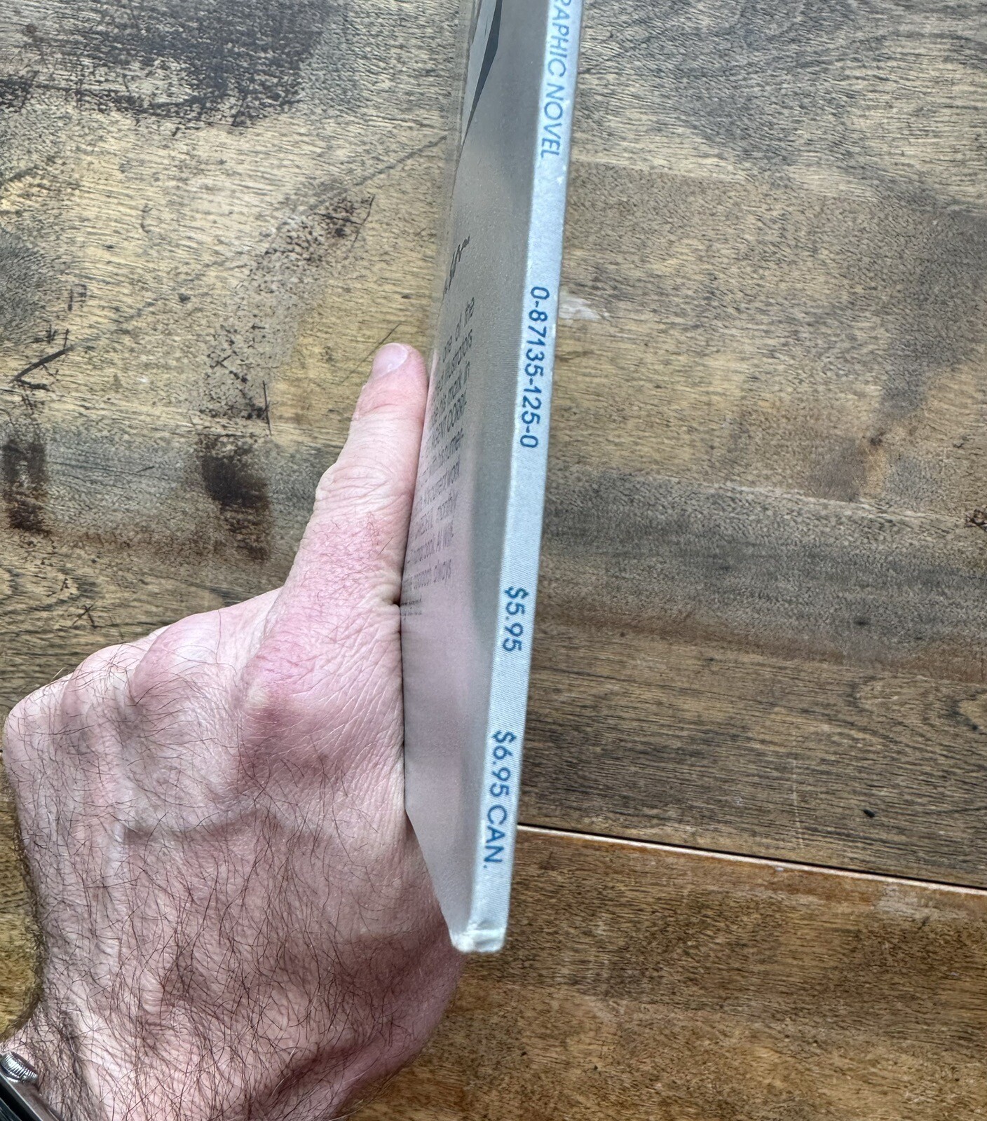 Cloak and Dagger Predator and Prey Marvel Graphic Novel 1988 Mantlo ...