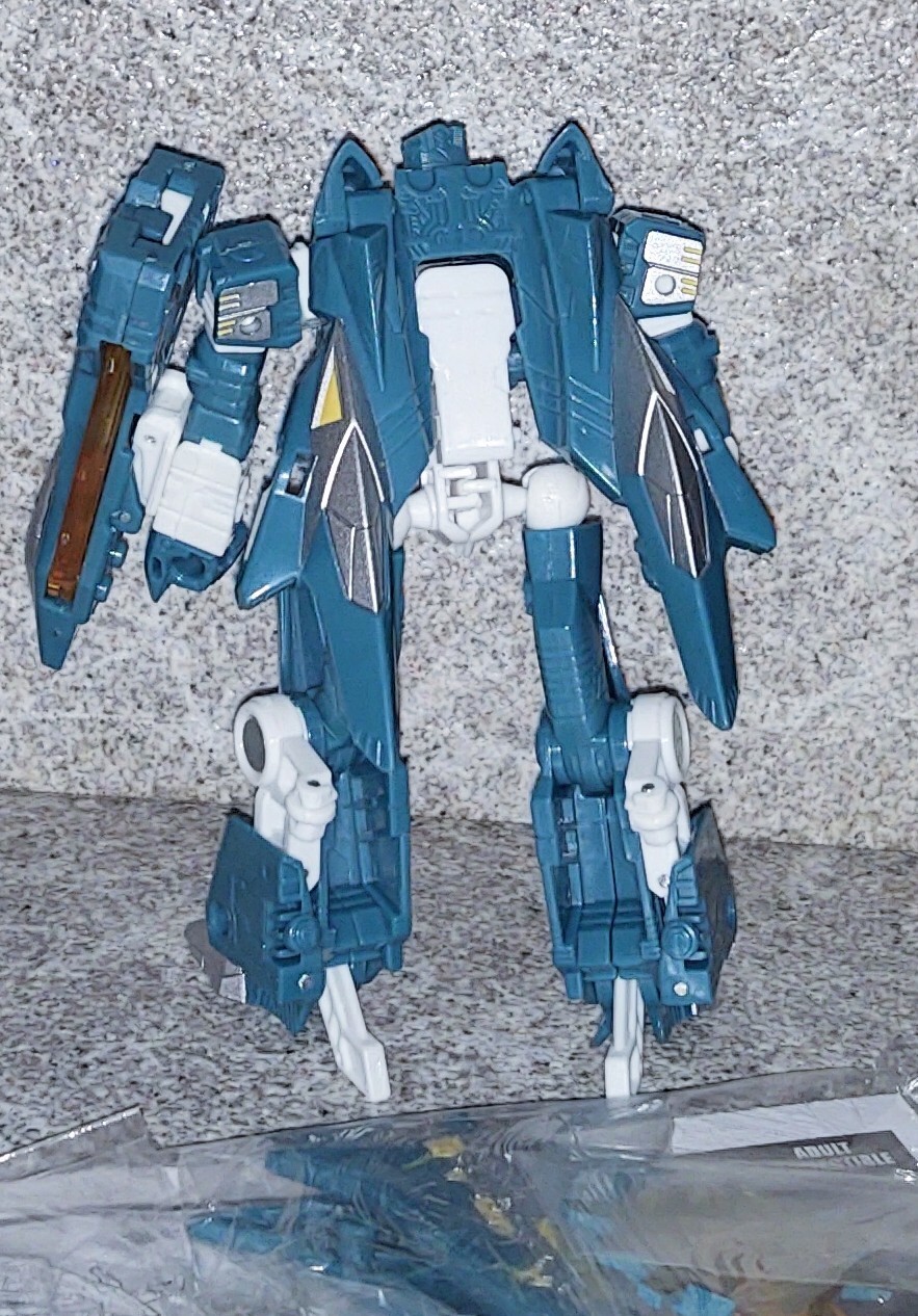 Transformers Botcon Tfcc Sweeps Complete Figure 2009 | eBay