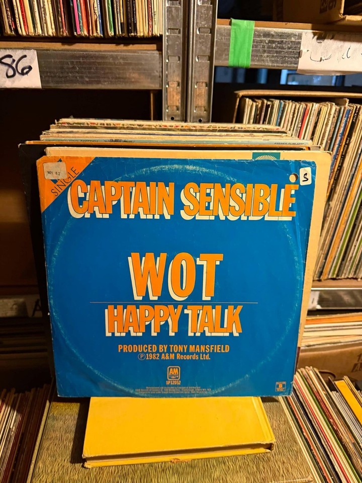 Captain Sensible – Wot / Happy Talk Vinyl Record LP VG+ AB87 | eBay