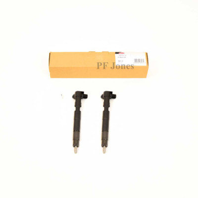 New Delphi Injector HRD349 28348370 A6510702887 28271551 x 2 – 1 Year ...