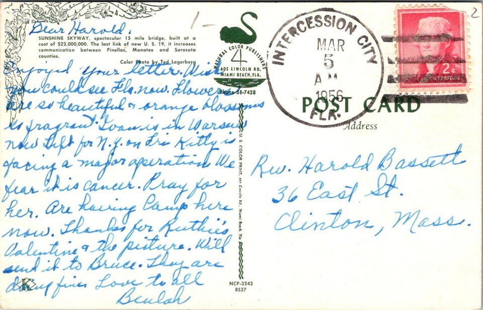 Vintage Postcard Sunshine Highway Florida | eBay