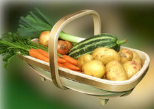 Garden Trugs products for sale | eBay UK