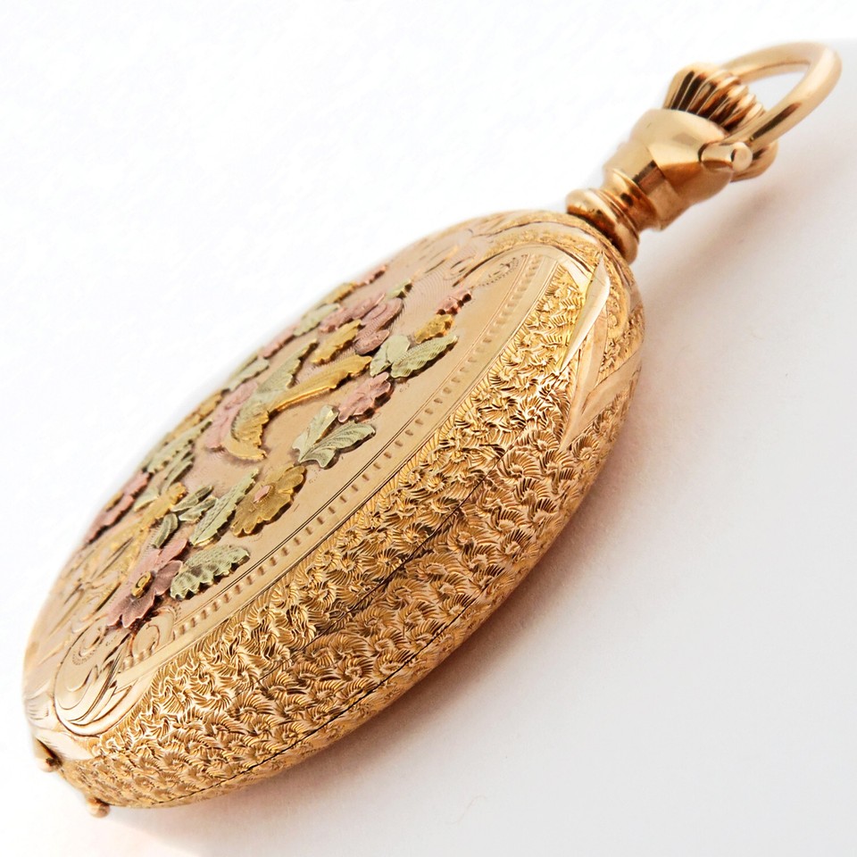 Elgin 16s 14K Gold Multi-Color Hunter HC Great White Fleet Pocket Watch ...