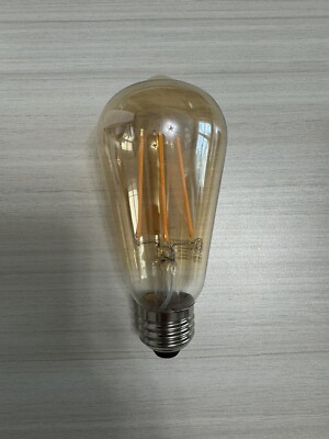 Vintage LED Edison Bulb 120V 22000K 700L ST58-8 E26 8W | eBay