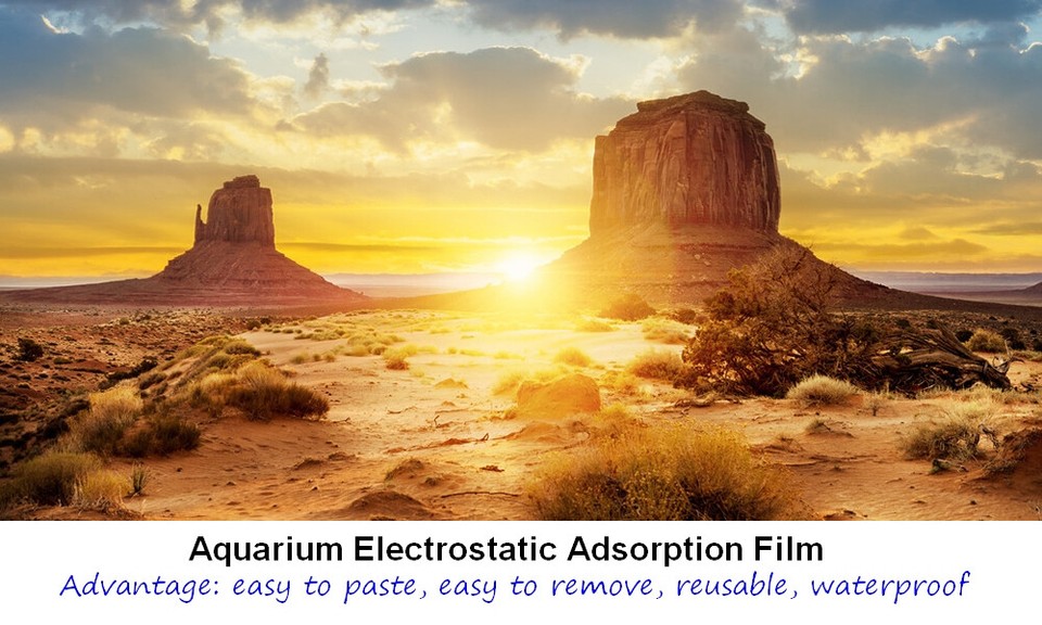 Aquarium Background Poster Desert View Fish Tank Reptile Static ...