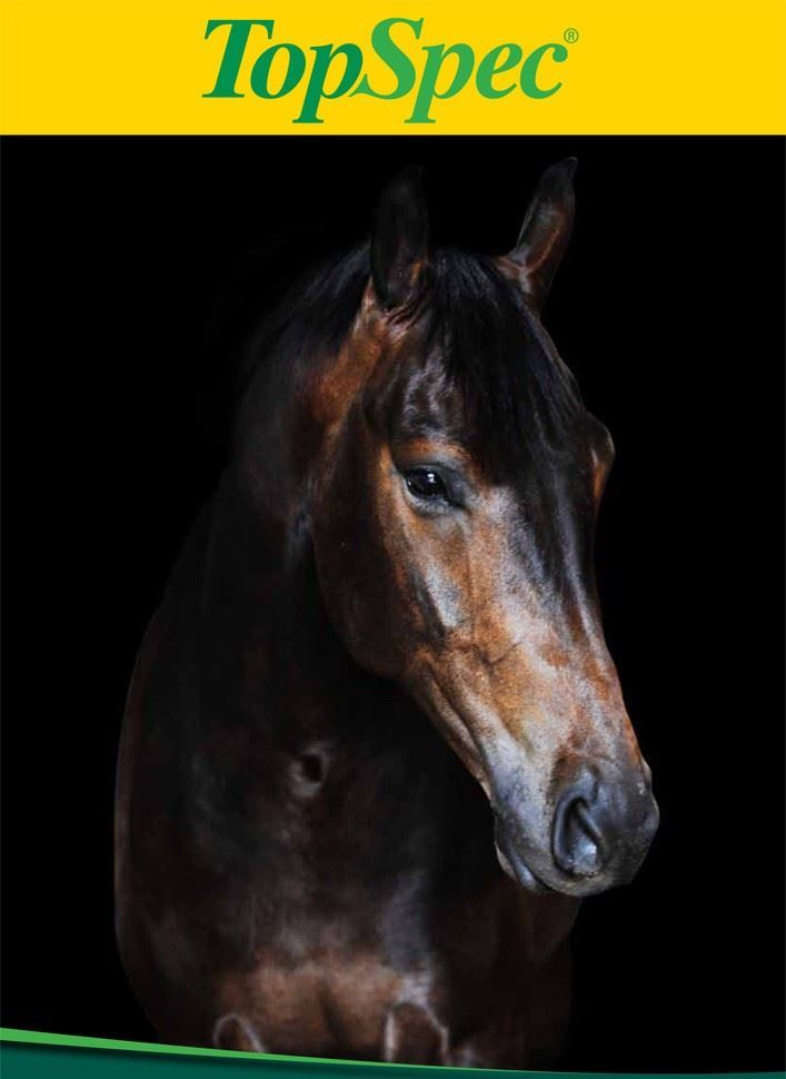 TopSpec TopChop Lite 15kg Horse Feed Mix Alfalfa | eBay