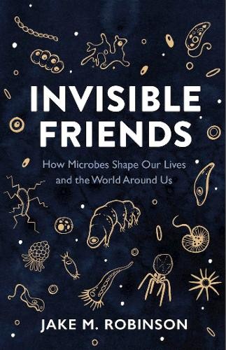 Jake Robinson Invisible Friends (Tascabile) 9781784275686 | eBay