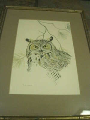 M.G. LOATES, GREAT HORNED OWL PRINT, SIGNED, MATTED & FRAMED 14¾ X 11¾ ...