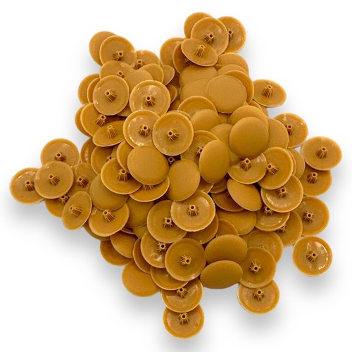 Bifix™ HONEYMAPLE BROWN Screw Pozi Phillips Cover Caps SnapOn 6-8g Pz2 ...