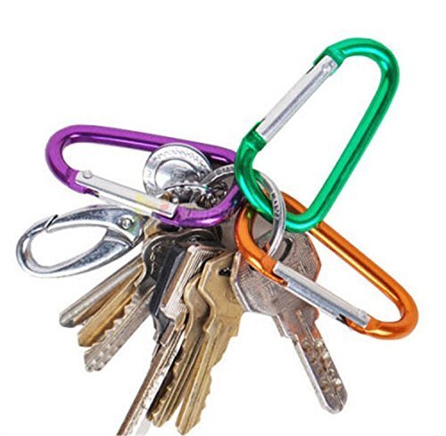 10 Pcs- Assorted Colors D Shaped Aluminum Alloy Snap Clip Key Chain ...