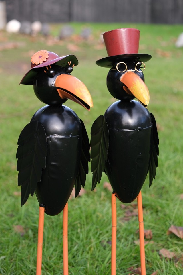 Standing Crow Garden Decoration Ornament Mum Crow or Dad Crow Statue ...