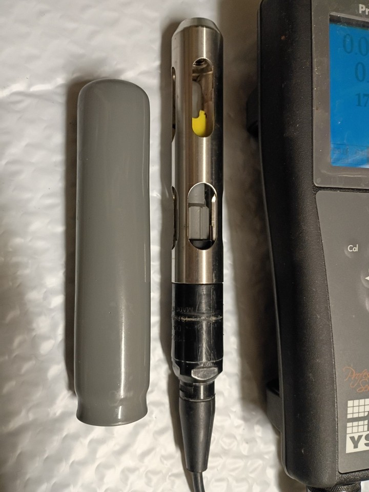 YSI Pro20 Handheld Dissolved Oxygen Meter with Probe | eBay