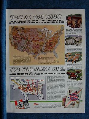 1949 Vtg. Farm Animals Ad- Morton's Salt - Cows Hogs Sheep Beef Cattle ...