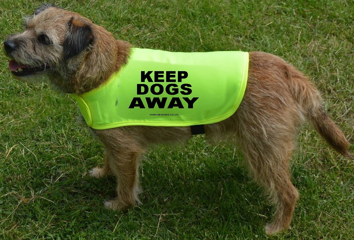 KEEP DOGS AWAY Coat I deal 4 fear aggressive nervous dogs that need ...