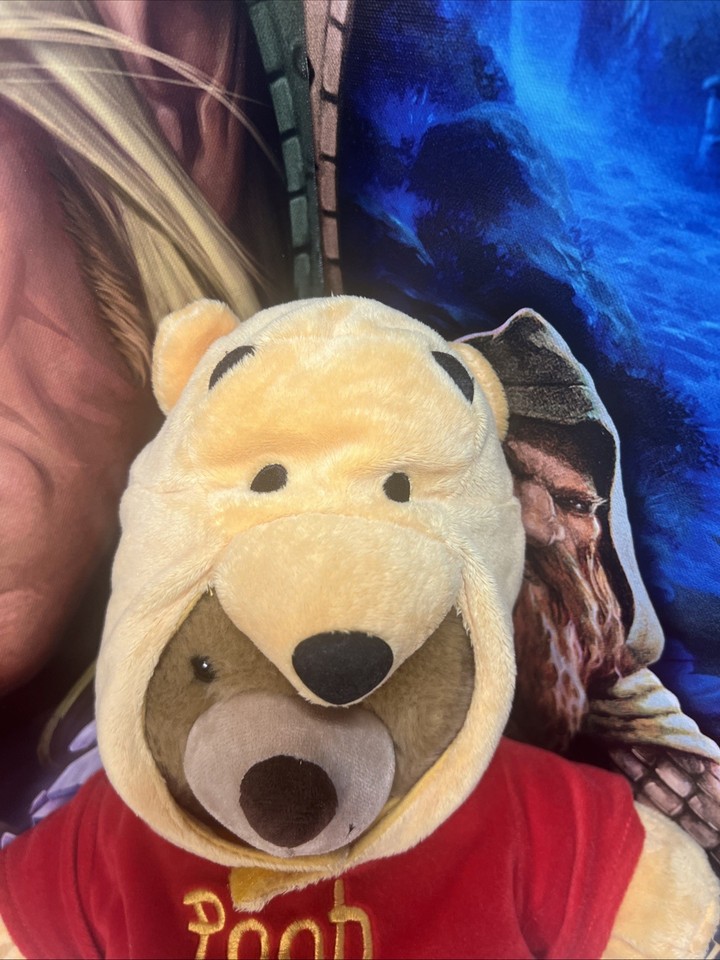 Plush Build A Bear Winnie the Poo Outfit (With or Without BAB Bear) 15 ...