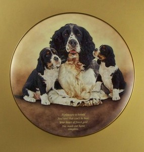 Springer Spaniels Quotes