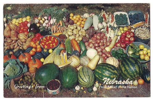 Nebraska FOOD BASKET Of The NATION Fruits Vegetables Greetings Postcard ...