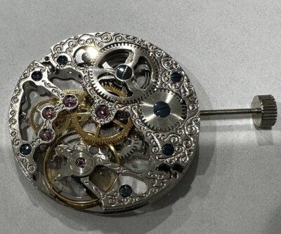 New Chinese Skeleton CH-96A1 Replacement UT6497 Mechanical Watch ...
