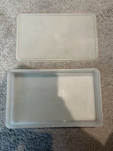 Vintage Tupperware Bacon Keeper Rectangle Container Deli Meat 794-12 w ...