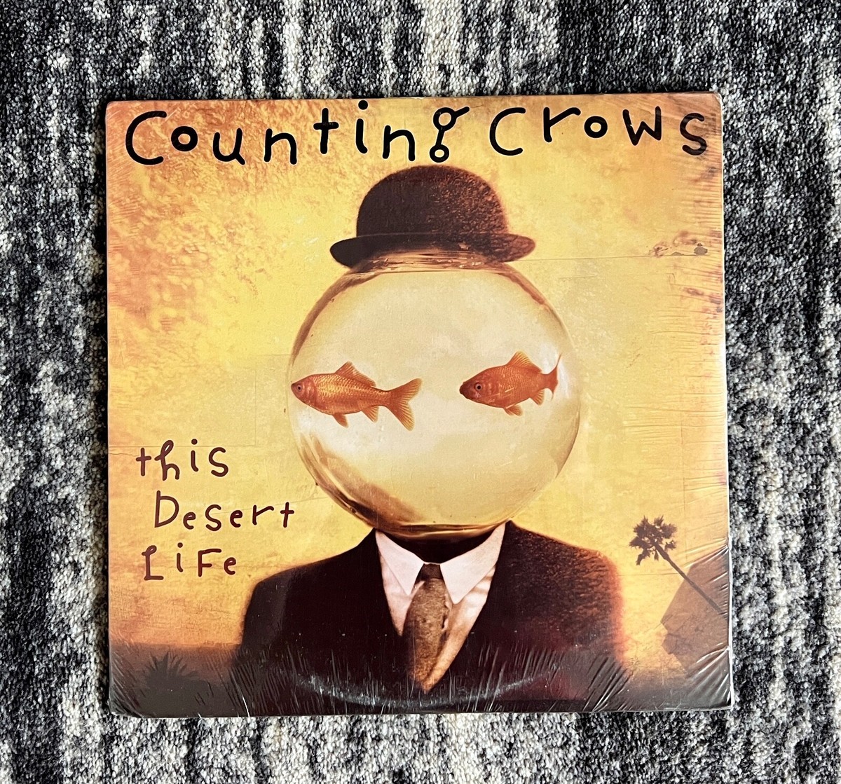 Counting Crows This Desert Life
