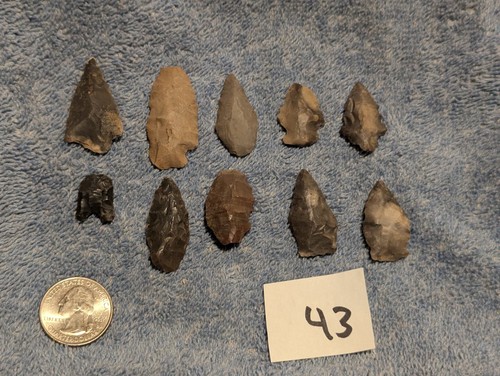 Group of 10 Authentic Field Grade Arrowheads- Found In Tennessee Lot 43 ...