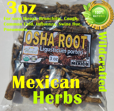 3oz Osha Root, Bear Root, Ligusticum porteri, mountain lovage root ...