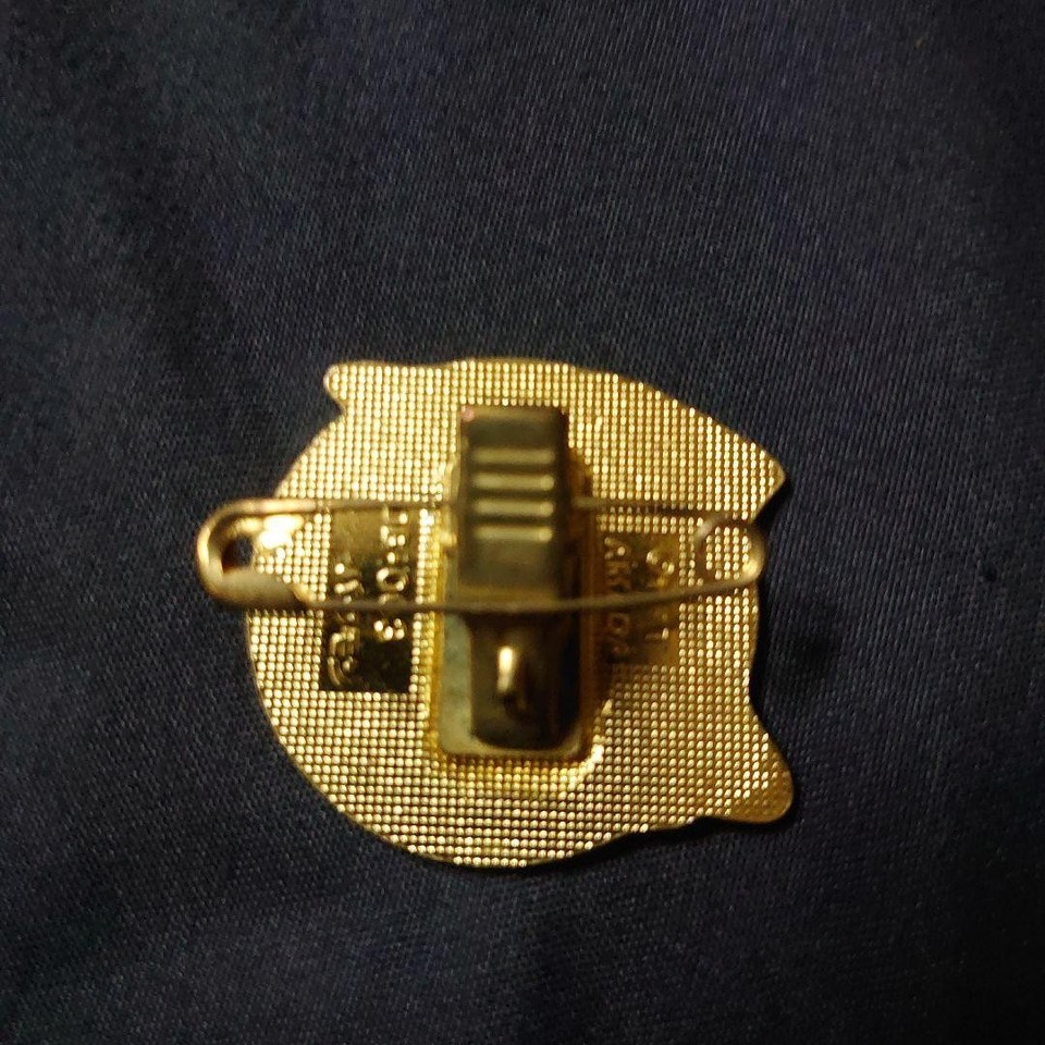 Heisei Retro Digimon Patamon Badge, Cartoon Pin, Used, Collectible aa7 ...