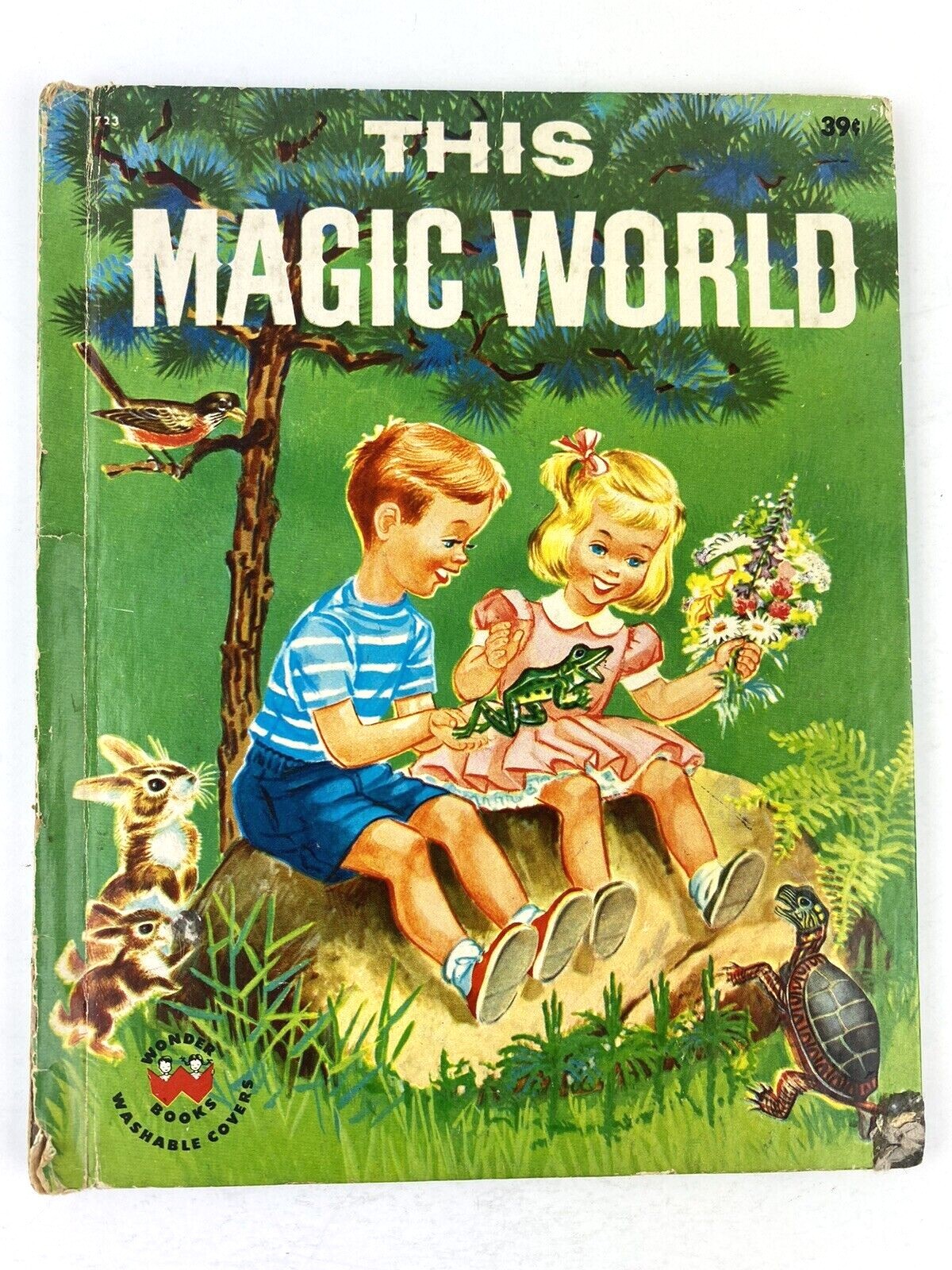 This Magic World Cynthia Koehler Wonder Books Vintage Childrens Book ...