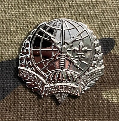 US AIR FORCE SPECIAL OPERATIONS WEATHER BERET BADGE; MIRROR FINISH | eBay