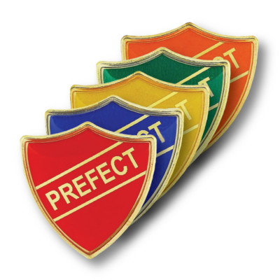 Prefect Shield School Badges Red, Green, Blue, Yellow, Orange | eBay UK