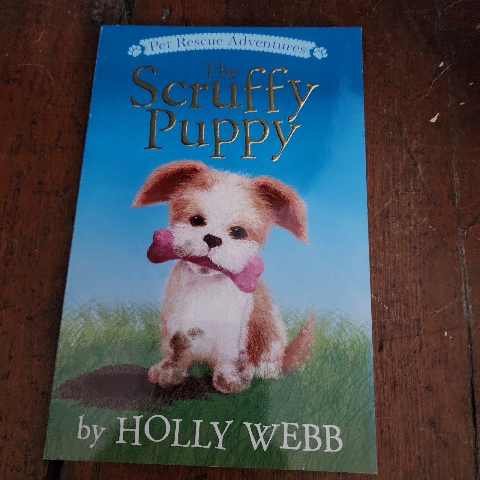 The Scruffy Puppy (Pet Rescue Adventures) - Paperback By Webb, Holly ...