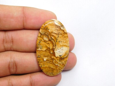 Top Grade Natural African Picture Jasper Cabochon Loose Gemstone 56 Cts ...