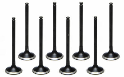 (8) KFX700 2005-2009 Intake & Exhaust Stainless Steel Bronco Valve ...